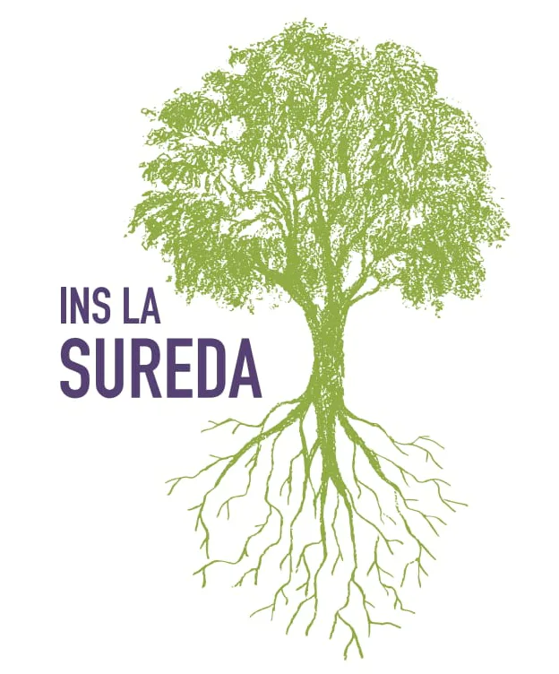 Estadística 3 ESO 9th Grade Quiz | Wayground (formerly Quizizz)