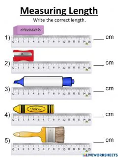 Choosing metric measurement units Quiz