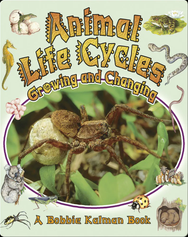 Life Cycle of Animals Quiz Quiz