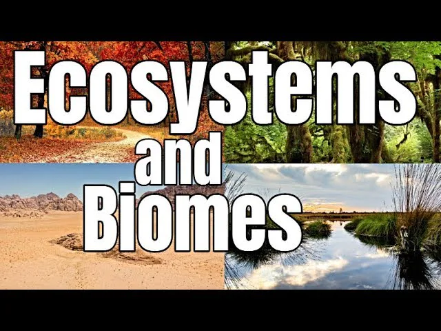 Biomes and Ecosystems 6th Grade Flashcard | Wayground (formerly Quizizz)
