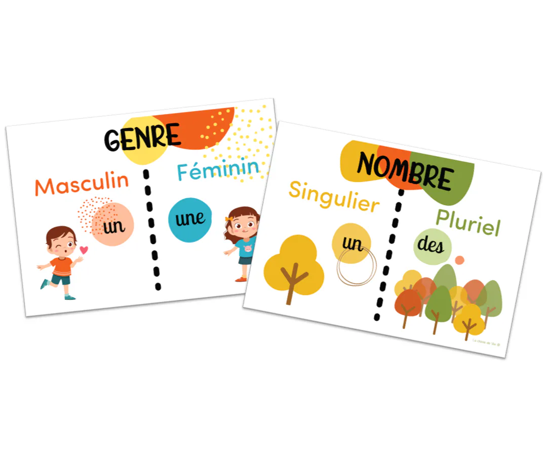 Flashcard sur l'accord en genre et nombre des noms et adjectifs 6th ...