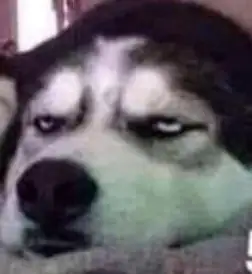 Topic 10: The World Around Us - Animals (Adjectives) 1st - 5th Grade ...