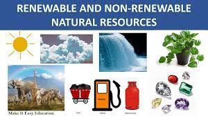 Renewable and Nonrenewable Resources 8th Grade Quiz | Wayground
