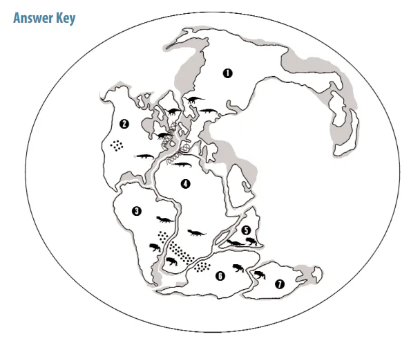 Major Tectonic Plates 6th Grade Flashcard | Quizizz