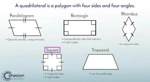 Classifying Quadrilaterals Quiz