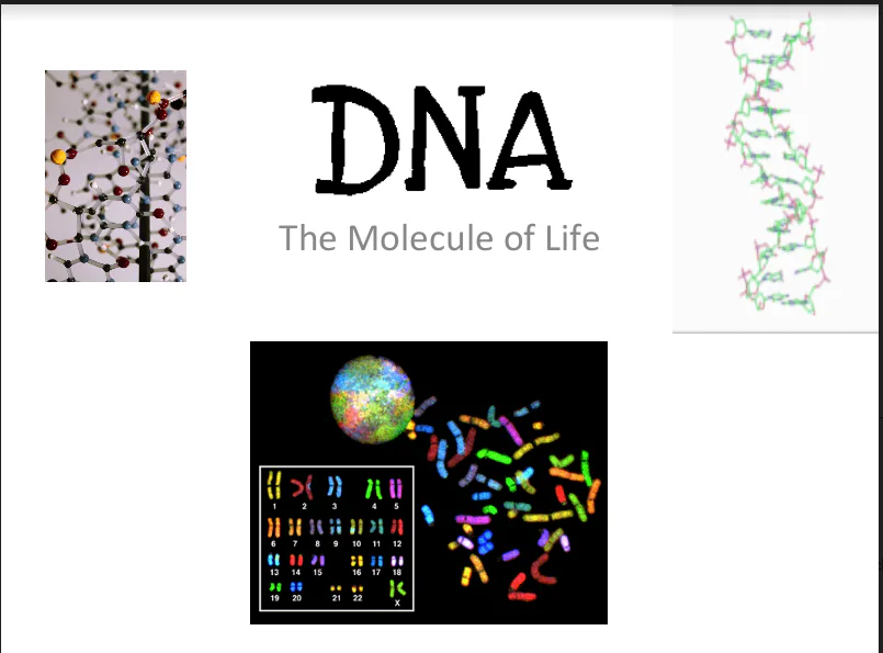 Part 1 DNA Structure and Function 12th Grade Quiz | Quizizz