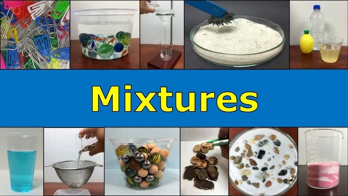 Separating Mixtures 6th Grade Quiz | Wayground