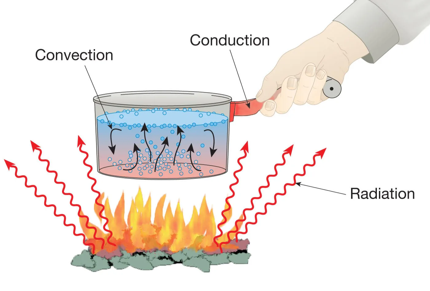Thermal Energy Transfers 6th Grade Flashcard | Quizizz