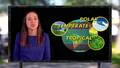 Science Kids: Understanding Weather and Climate Interactive Video