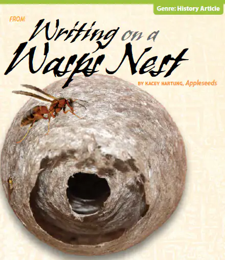 From Writing on a Wasps Nest by Kacey Hartung Quiz