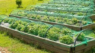 TCI 4th Grade 1-2 Exit Slip 4th Grade Quiz | Quizizz