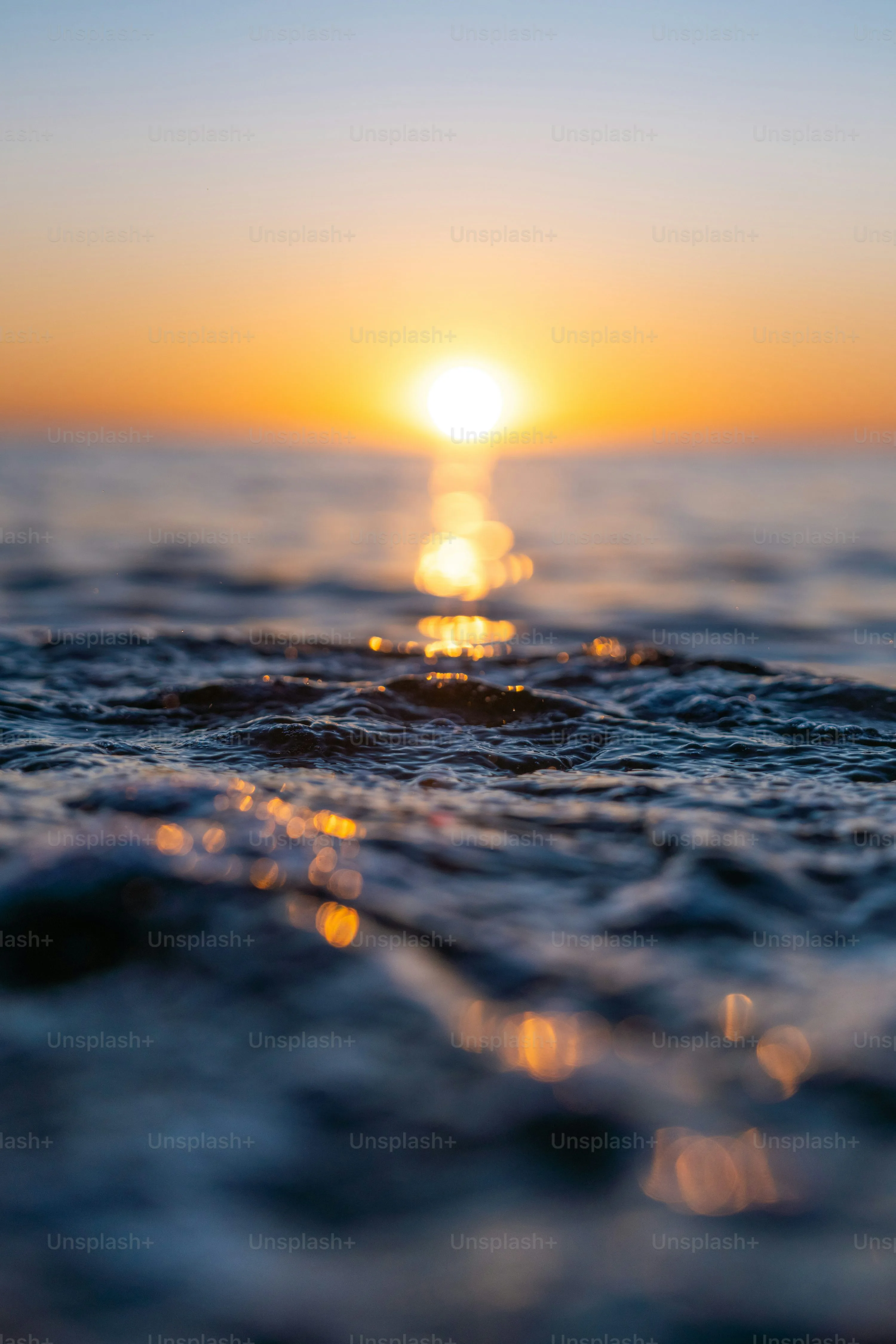 Module 1 Vocabulary Review 3rd Grade Flashcard | Wayground