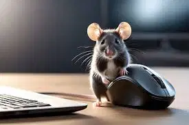 Two Mice Quiz