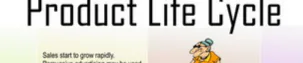 Product Life Cycle Quiz 12th Grade Quiz | Quizizz