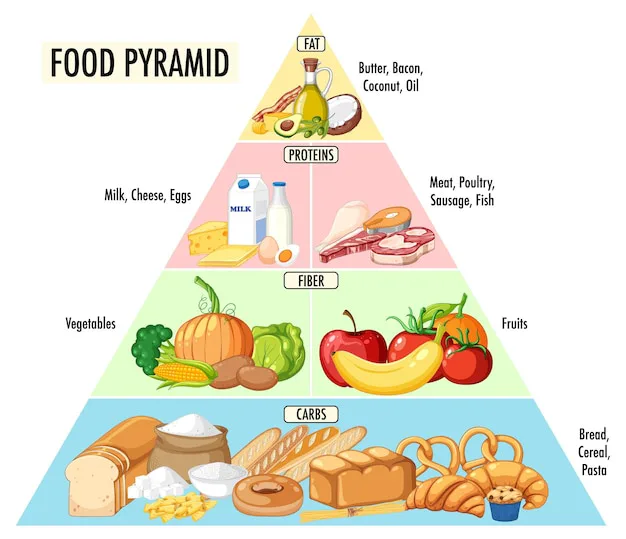 5 Food groups and Food Pyramids Quiz