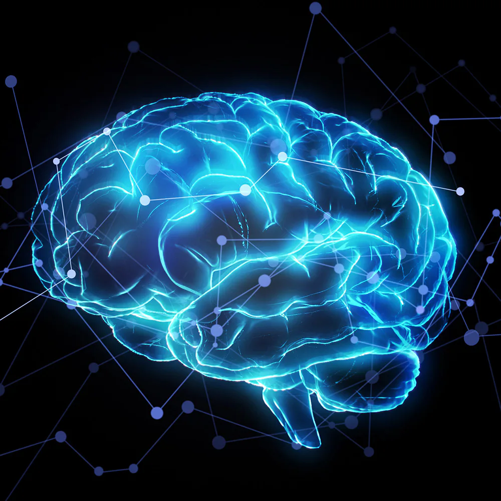 Are you Smarter Than A Fifth Grader? Quiz