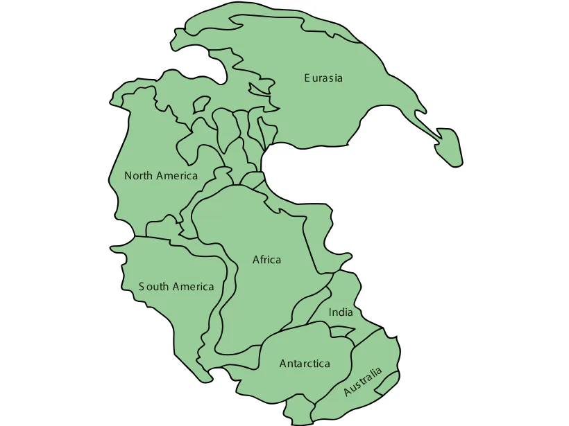 SC.7.E.6.5 Quiz: Continental Drift/Convection Quiz