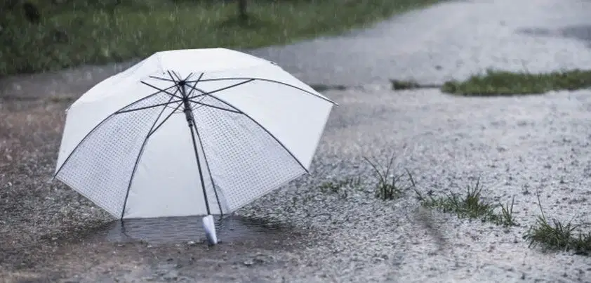 The White Umbrella Flashcards 6th Grade Flashcard | Wayground