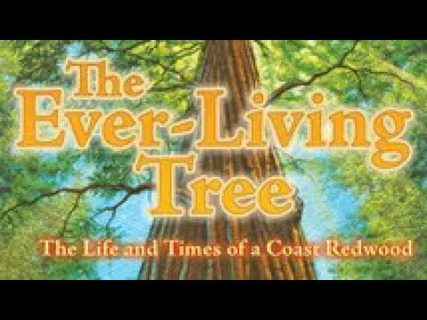 The ever living tree grammar Quiz