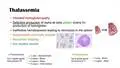 Microcytic Anemia & Causes (Iron Deficiency, Thalassemia, Anemia of ...