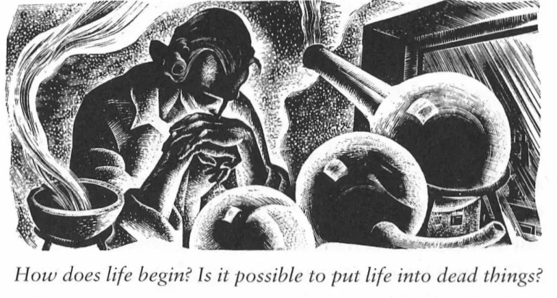 Reading comprehension. Chapters two and three Frankenstein Quiz