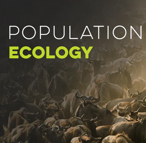 Population Ecology Quiz 9th Grade Quiz | Quizizz