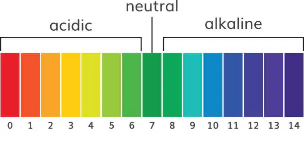 pH Practice 9th - 12th Grade Flashcard | Quizizz