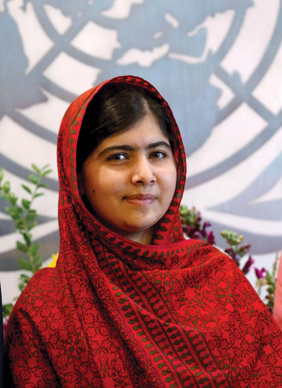 A Schoolgirl's Diary from I Am Malala Selection Test Flashcards