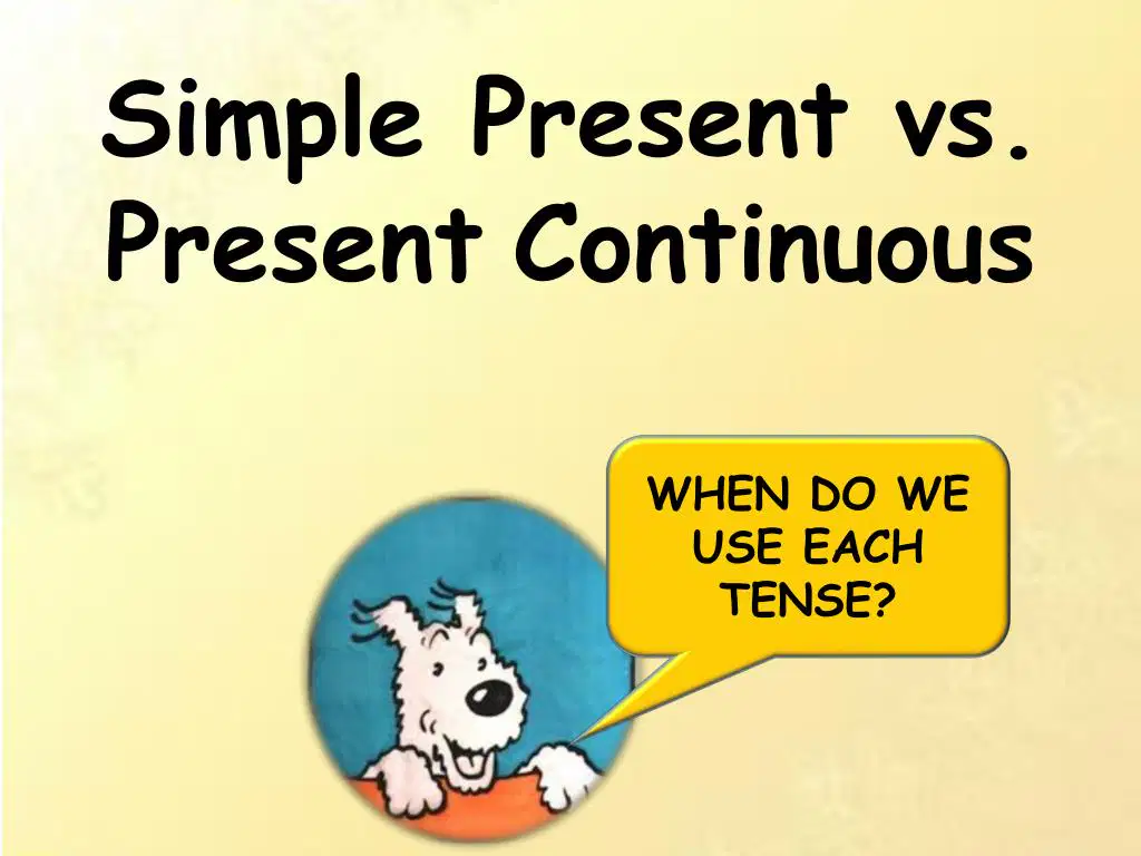 Present Simple or Present Continious Tense Quiz