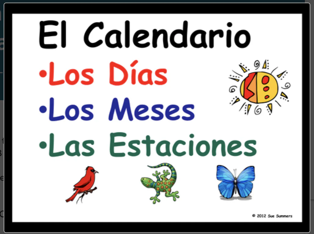 Spanish calendar 7th Grade Flashcard | Wayground