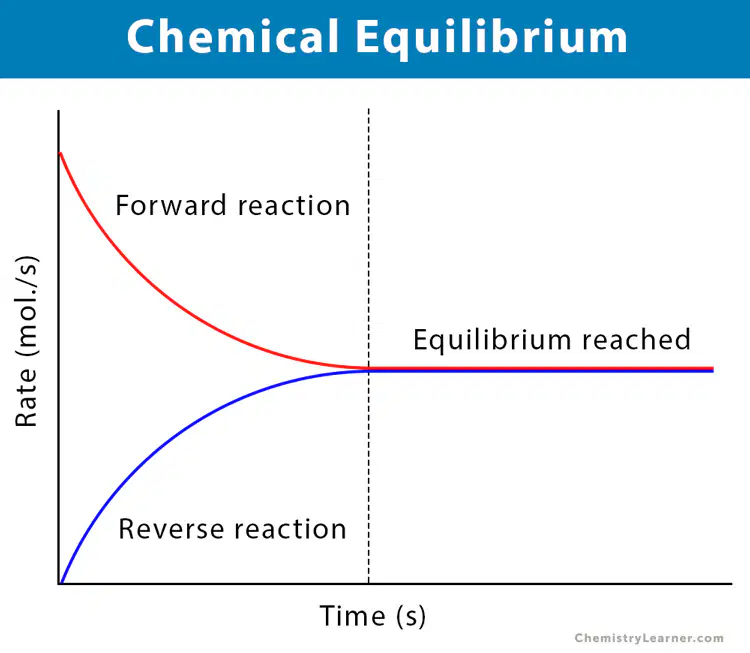 CHEMICAL EQUILIBRIUM JEE Quiz