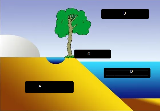 Biosphere and Physical Layers of Earth Test Quiz | Wayground