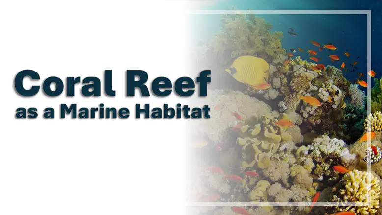 Coral Reef as a Marine Habitat Professional Development Quiz | Quizizz
