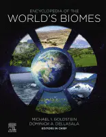 Year 6 Intro to Biomes 6th Grade Quiz | Quizizz