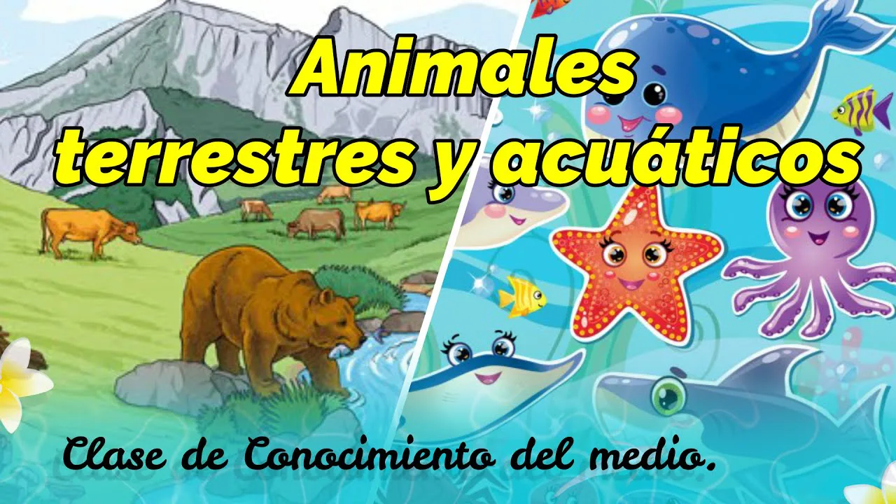 Animales del mar y la tierra 3rd Grade Quiz | Quizizz