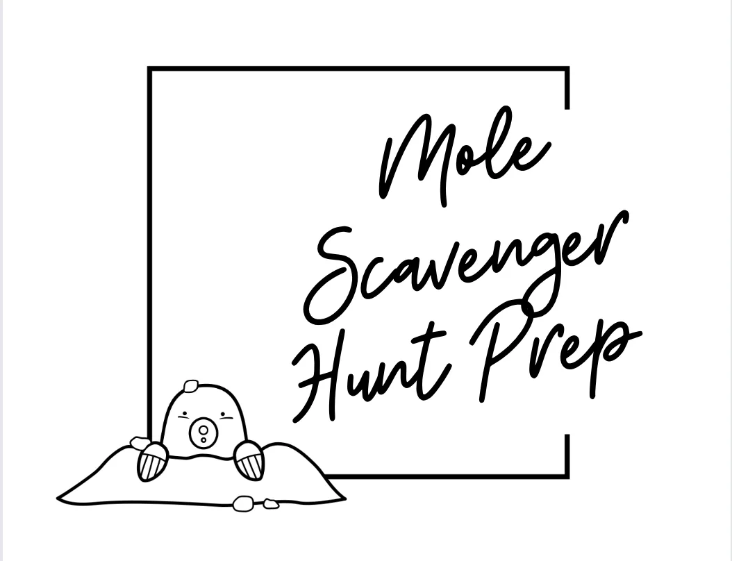 Mole Scavenger Hunt Prep 9th - 12th Grade Quiz | Quizizz