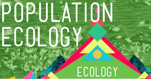 Population Ecology Flashcard