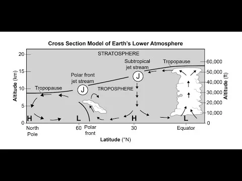 ESSRT Scavenger Hunt Flashcards
