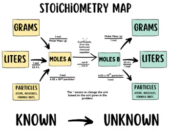 Stoichiometry Steps 10th Grade Quiz | Wayground