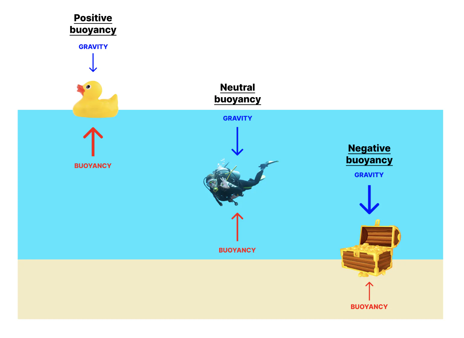 Buoyancy Reading Passage 8th Grade Passage | Wayground (formerly Quizizz)