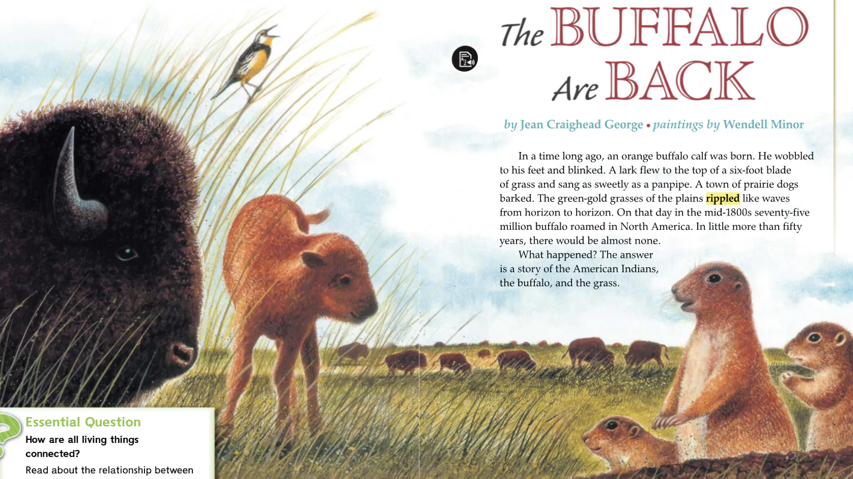 U2W3 Spelling Wonders 4th Grade 4th Grade Quiz | Quizizz