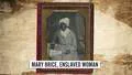 Lives of the Enslaved During the Civil War Interactive Video