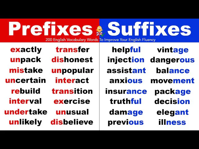 Prefixes: Bi-, Tri-, Quad- Flashcards