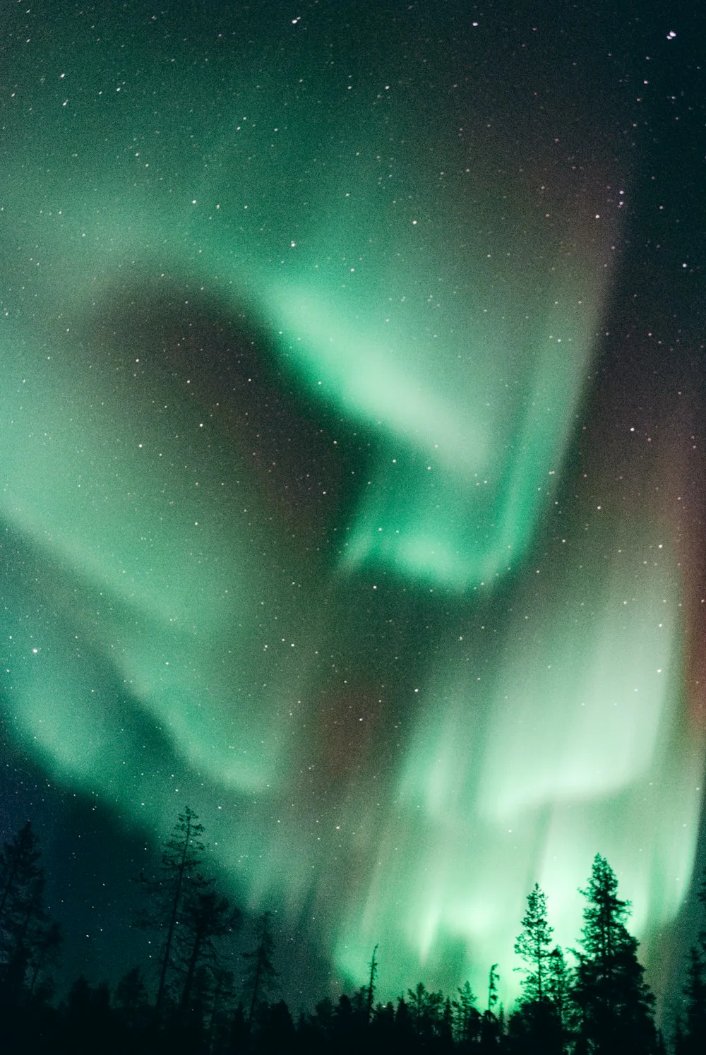Aurora Borealis Quiz