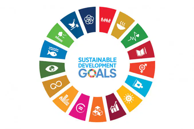Identifying The Global Goals Professional Development Quiz | Wayground