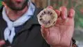 PUKE Fruit Challenge! GROSS! Video