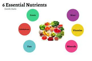 The 6 Major Nutrients Quiz