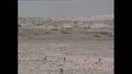 Operation Swift Sword in Oman Video
