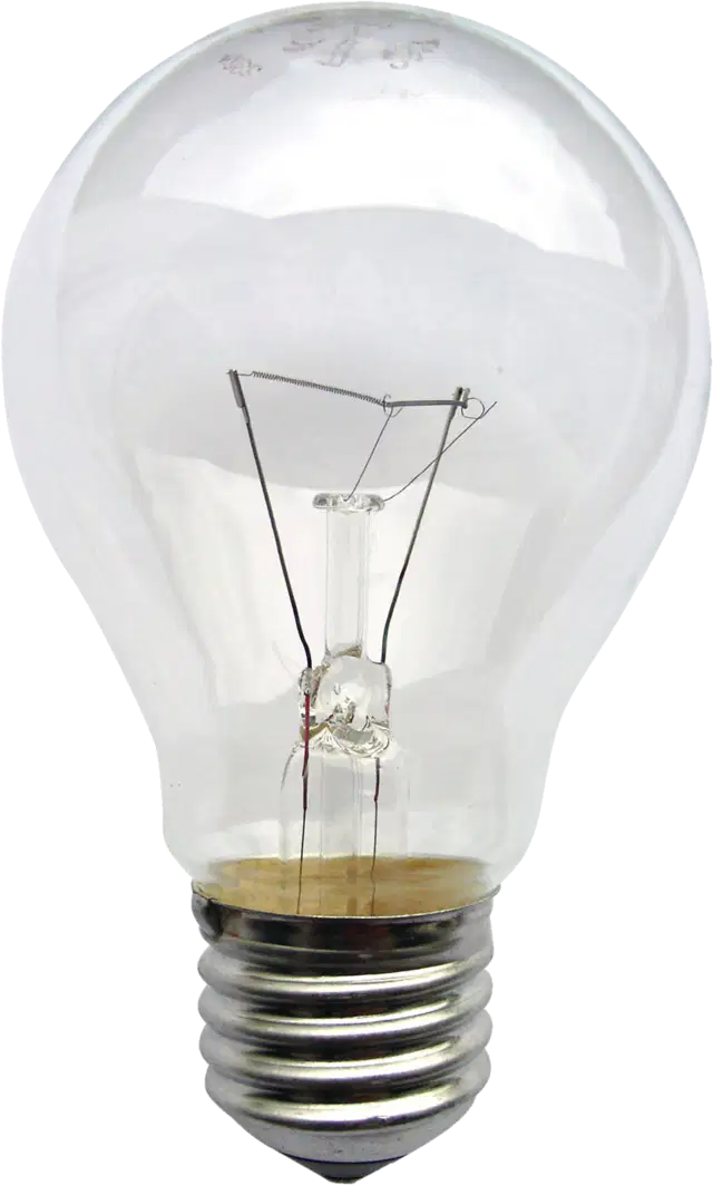 Central Idea Practice 8th Grade Flashcard | Wayground