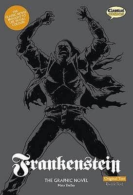 Frankenstein, the graphic novel Vol. 1, Chap 1-5 10th Grade Flashcard ...